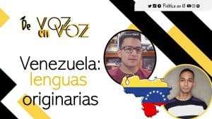 Descubre cuál es el idioma oficial de Venezuela y su fascinante ...